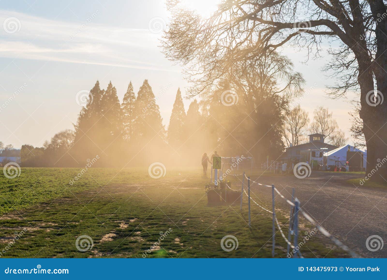 People Walking through a Park Facing the Sun Stock Image - Image of ...