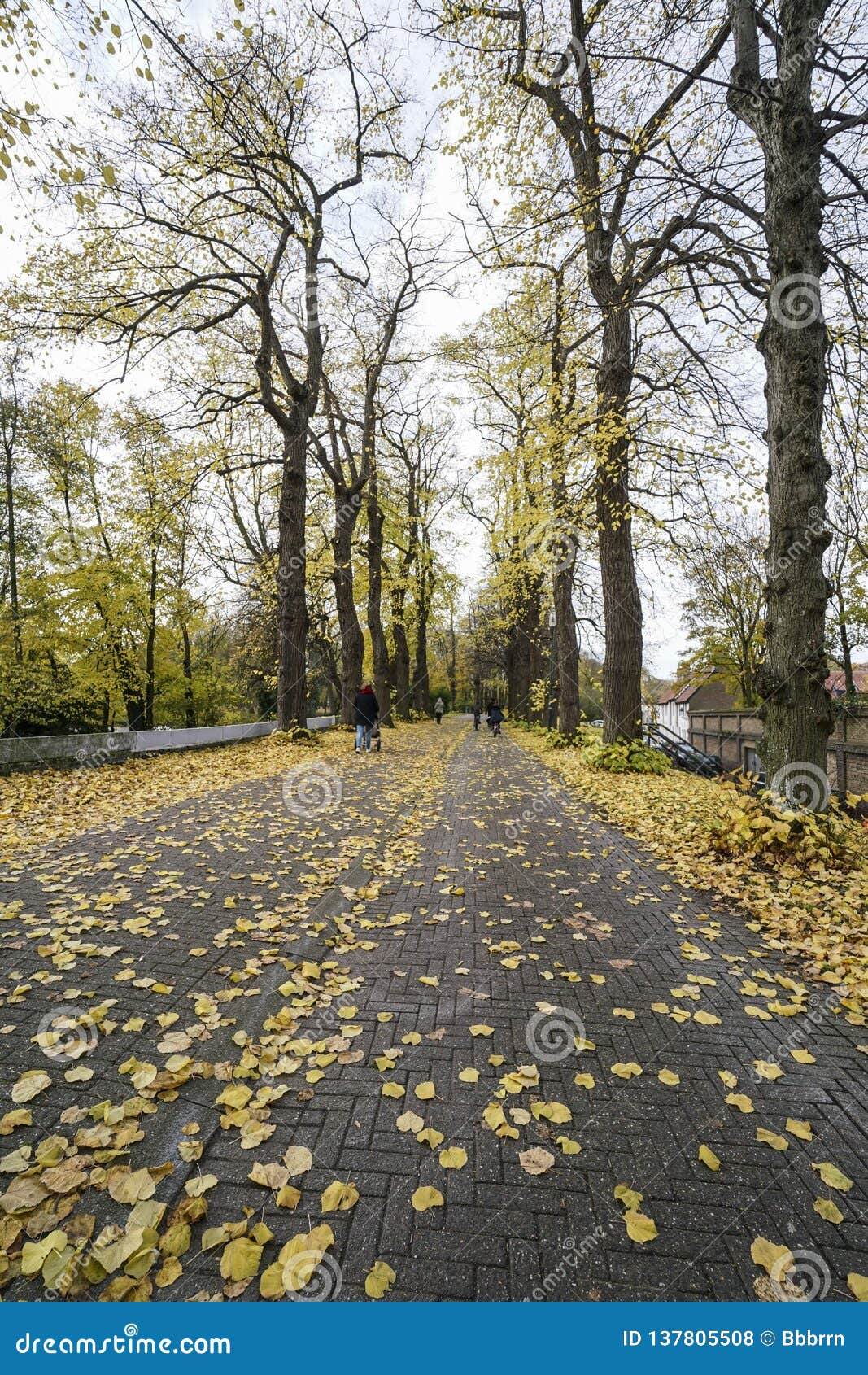 People Walking at a Park while Leaves Falling in Fall Stock Photo ...