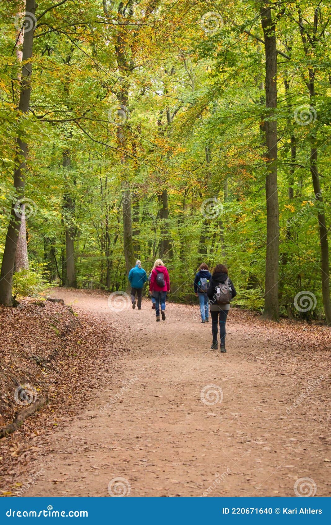 People Walking on a Path in a German Forest Editorial Image - Image of ...
