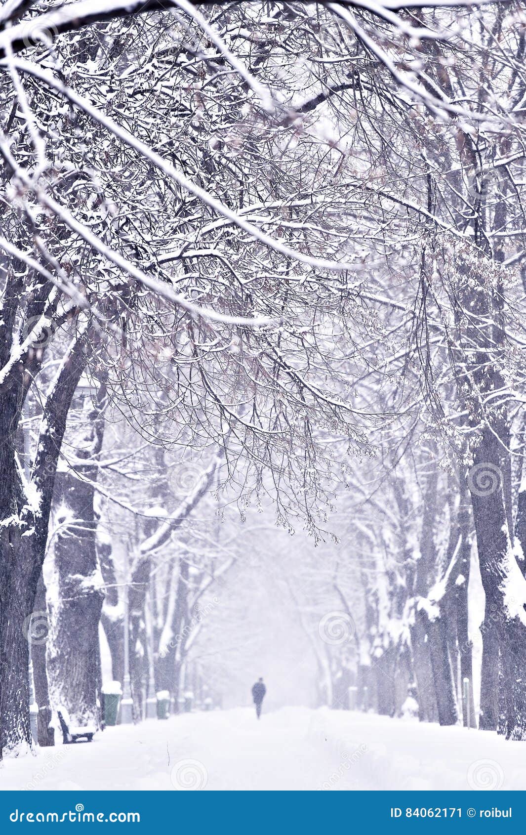 People Walking on Snow Covered Sidewalk Stock Image - Image of climate ...