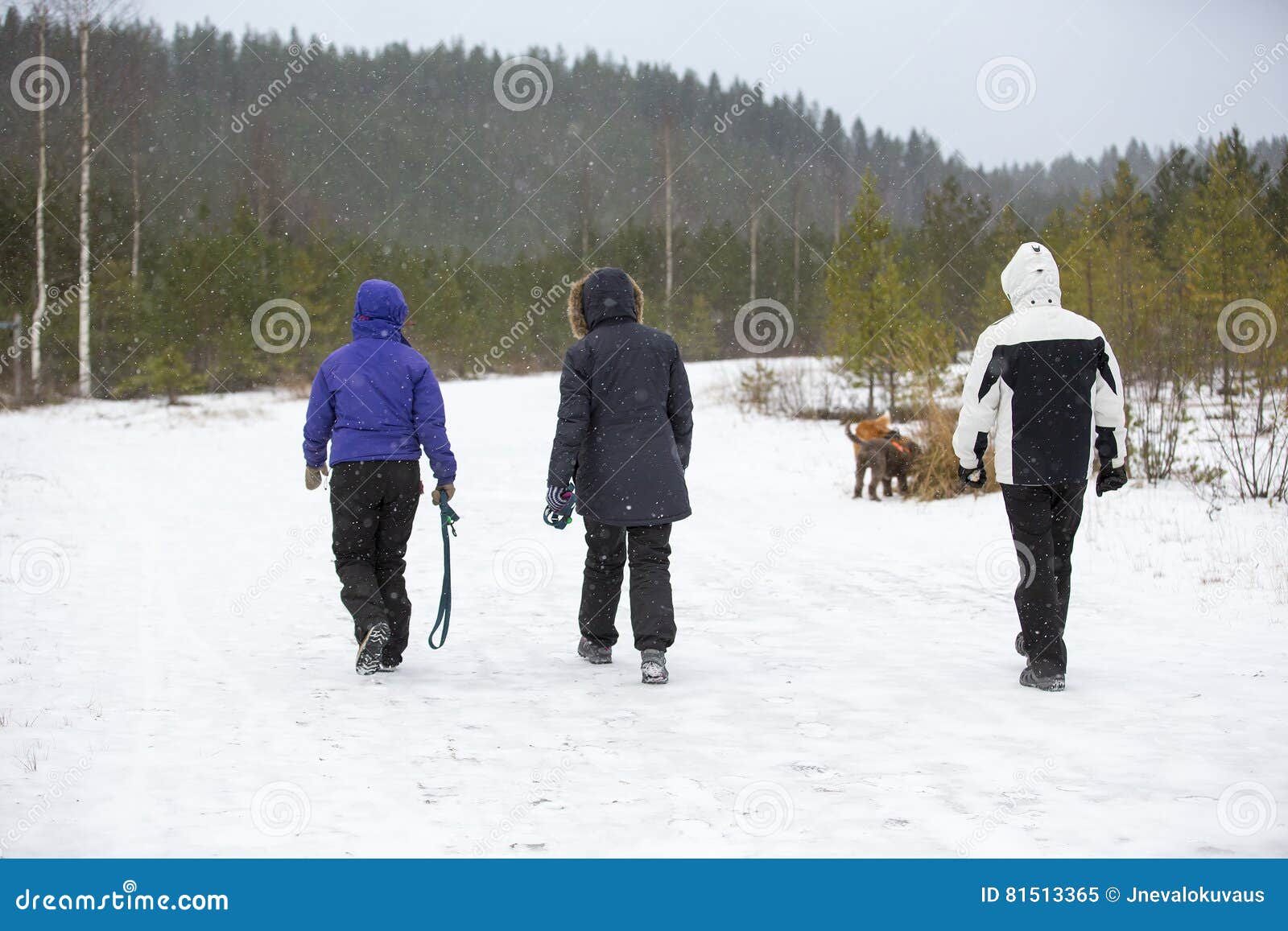 People Walking in a Snow Storm. Stock Image - Image of city, north ...