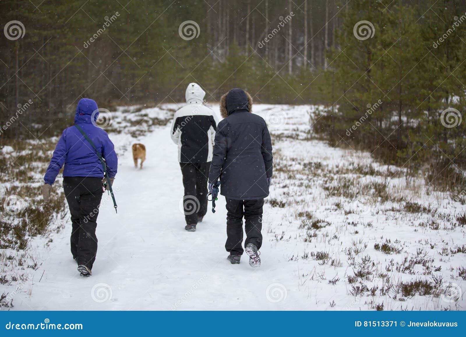 People Walking in a Snow Storm. Stock Image - Image of scene, seasonal ...