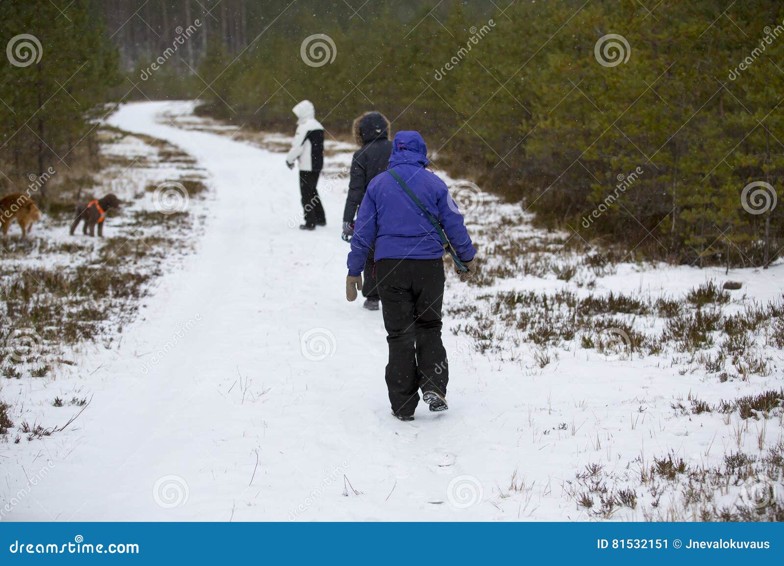 People Walking in a Snow Storm. Stock Image - Image of christmas ...