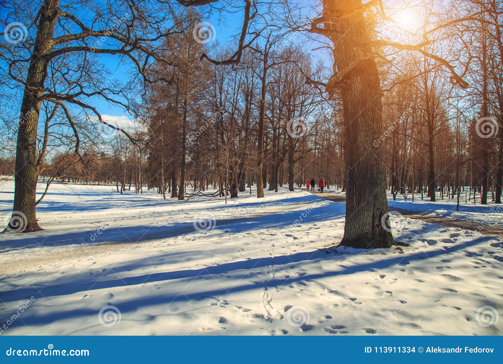 People are Walking in the Spring Park Stock Photo - Image of culture ...