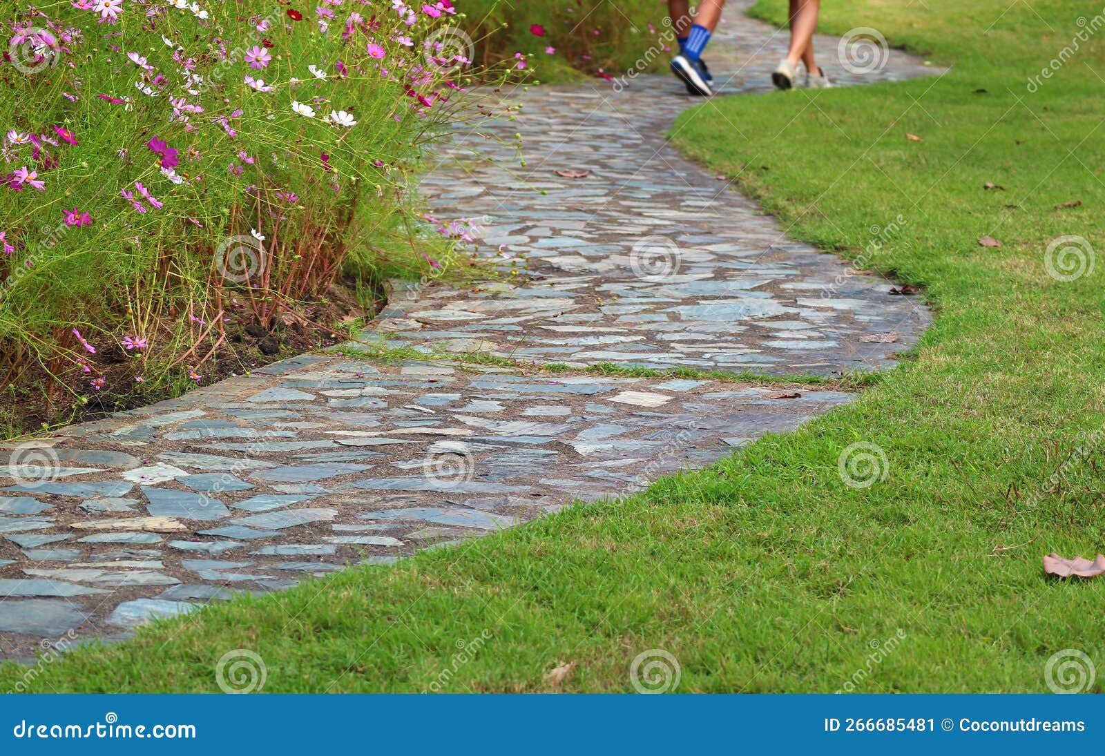 People Walking on a Stone Path in the Garden Stock Image - Image of ...