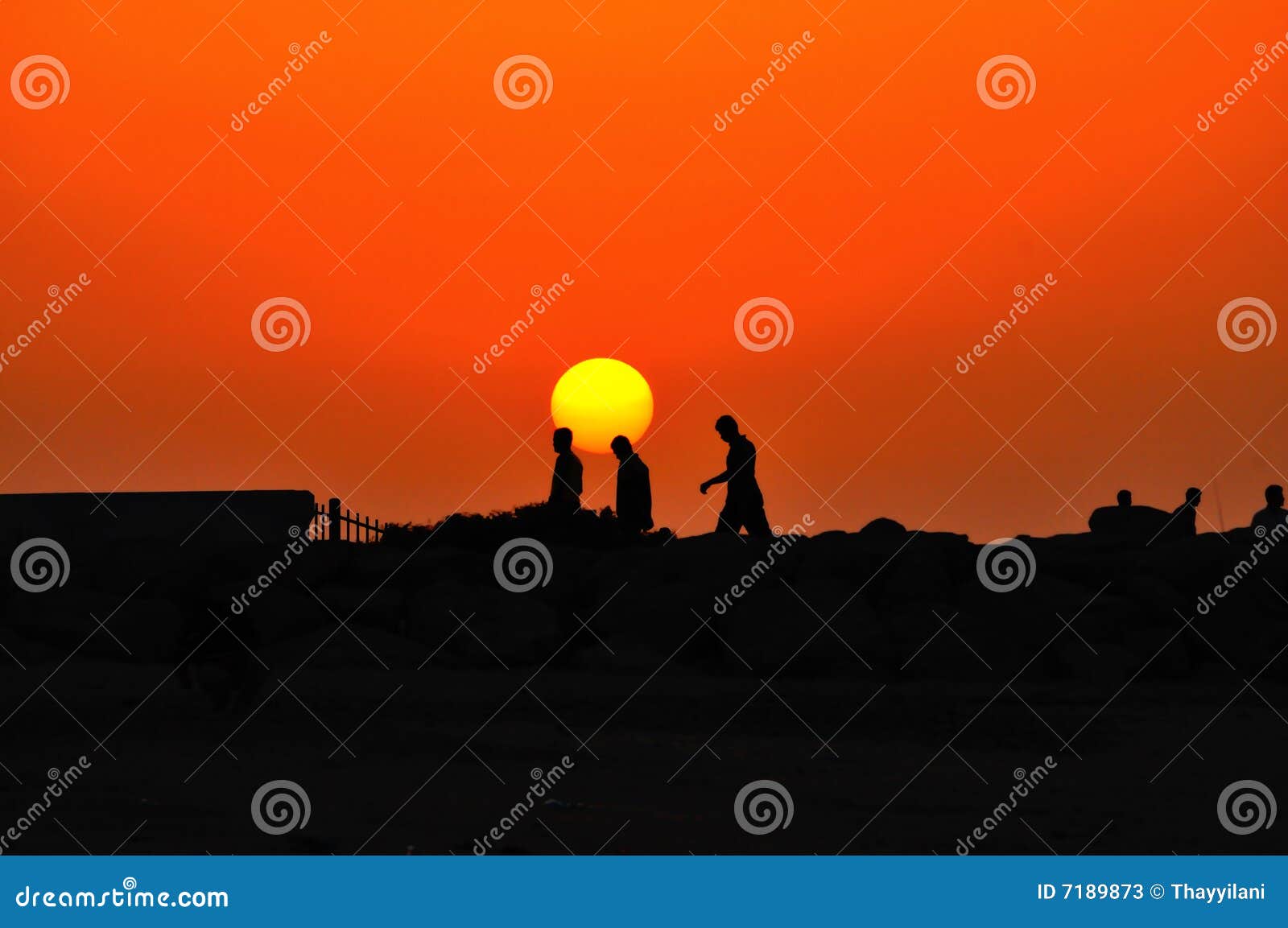 People walking on sunset stock image. Image of light, gold - 7189873