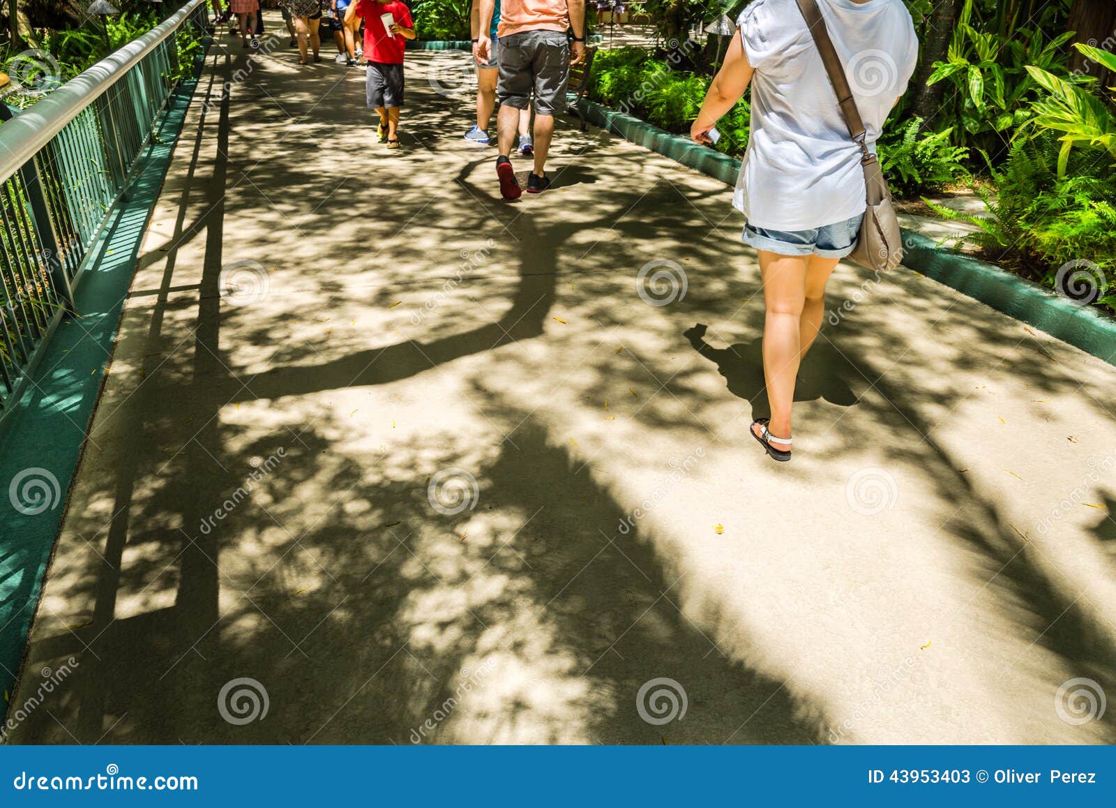 People walking in a zoo stock image. Image of habitat - 43953403