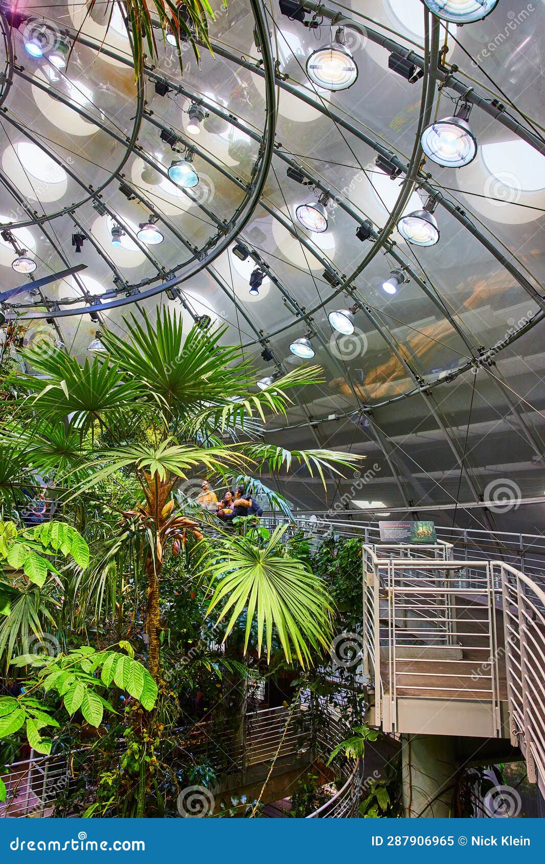 People on Walkway in Rainforest Biome with Dome Overhead and Tropical ...