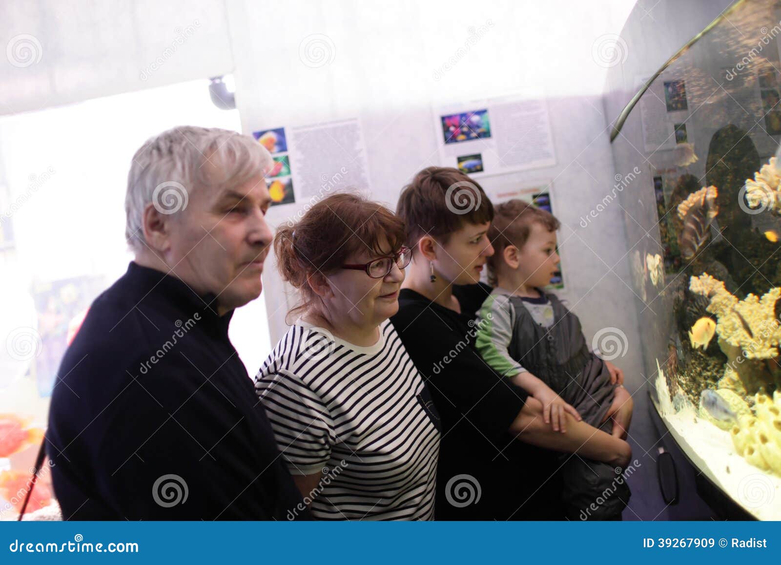 People watching fishes stock image. Image of destinations - 39267909