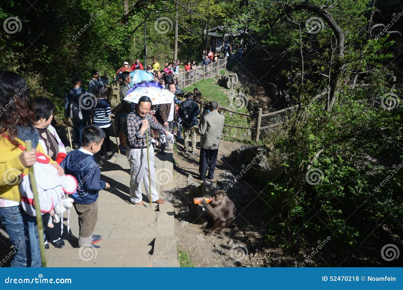 People watching a monkey editorial stock photo. Image of asian - 52470218