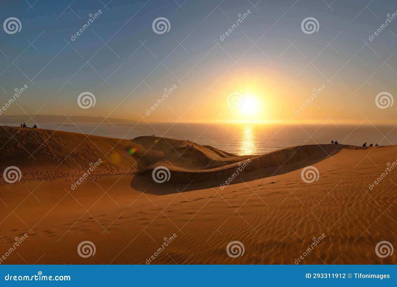 Dune Field of Concon, Chile Stock Photo - Image of ocean, coast: 293311912