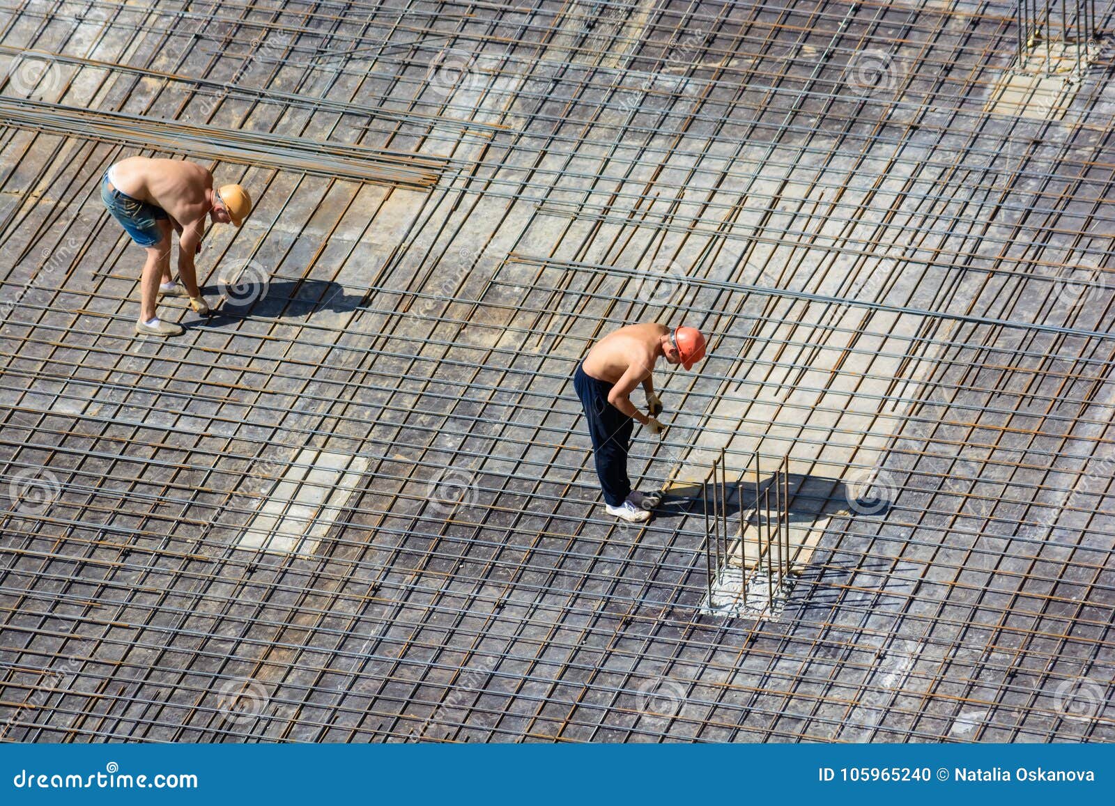 People Work with Carcass Made of Fitness Editorial Image - Image of ...