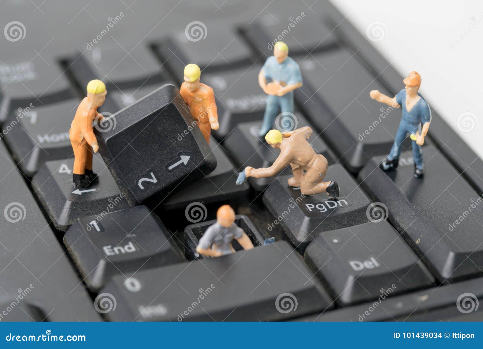 People Work on Computer Keyboard Stock Photo - Image of macro ...