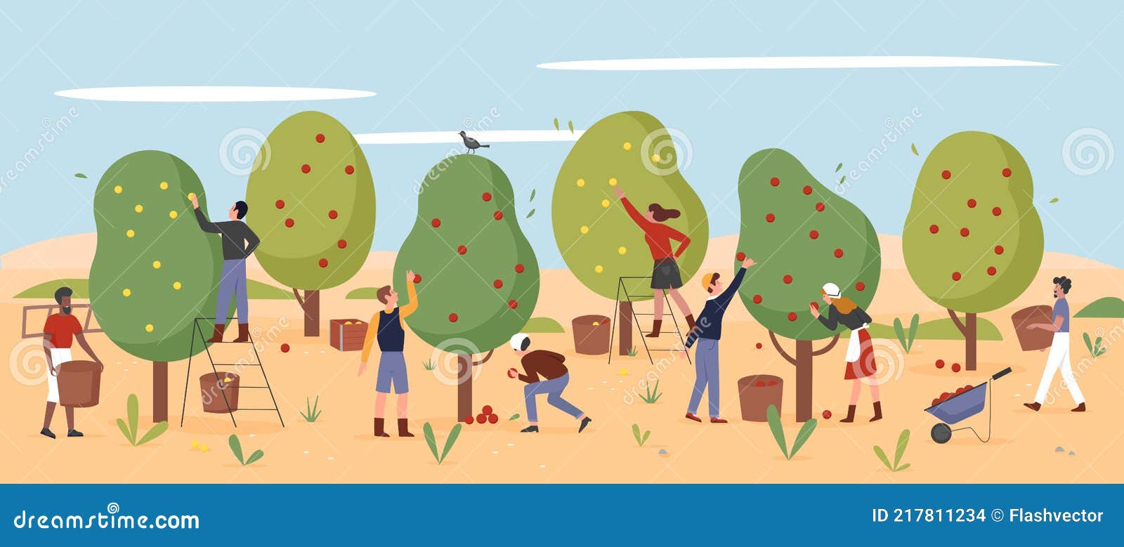People Work Farmers Pick Apples In Autumn Farm Garden Agriculture