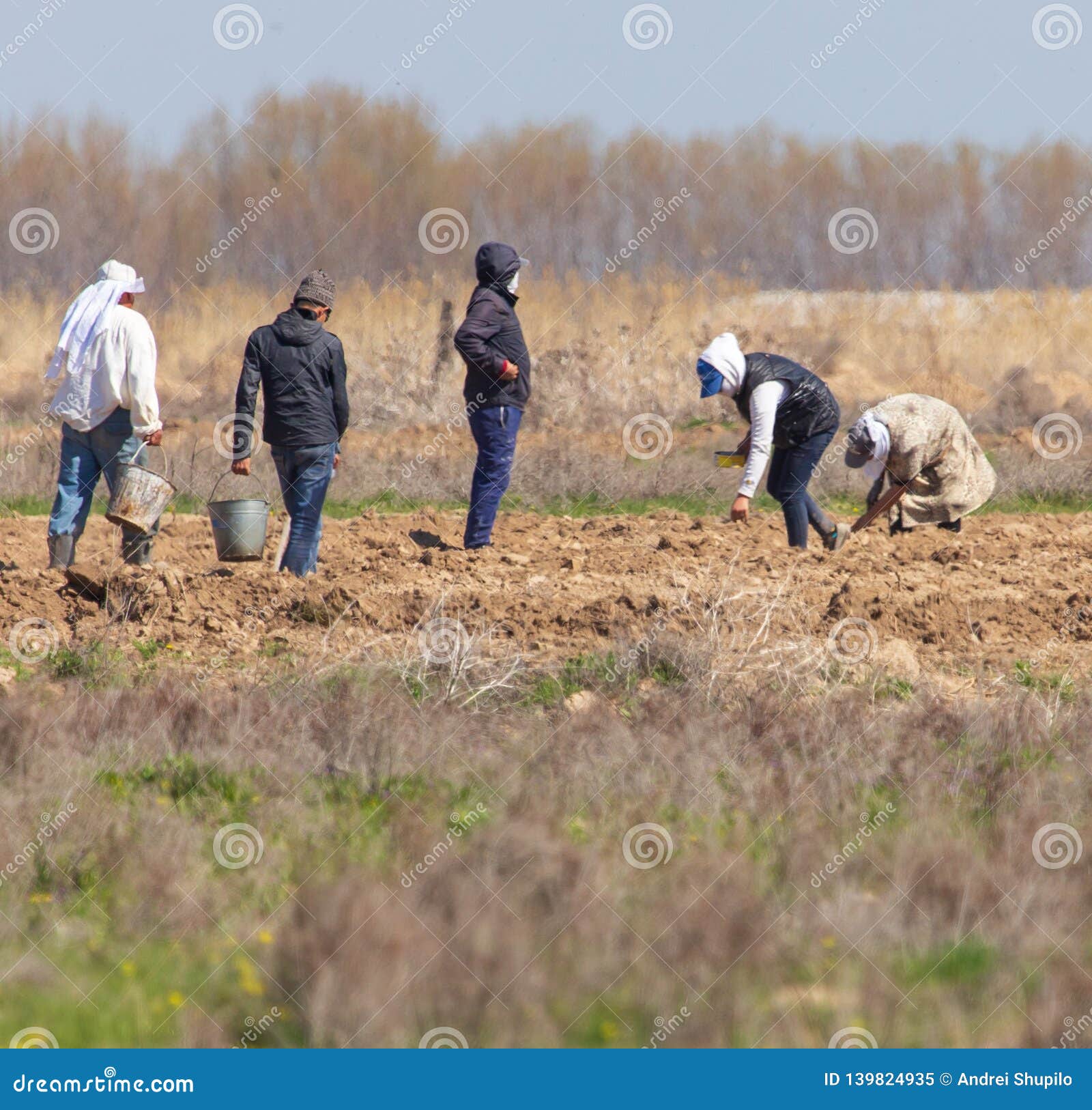 People Work in the Field in the Spring Stock Image - Image of ...