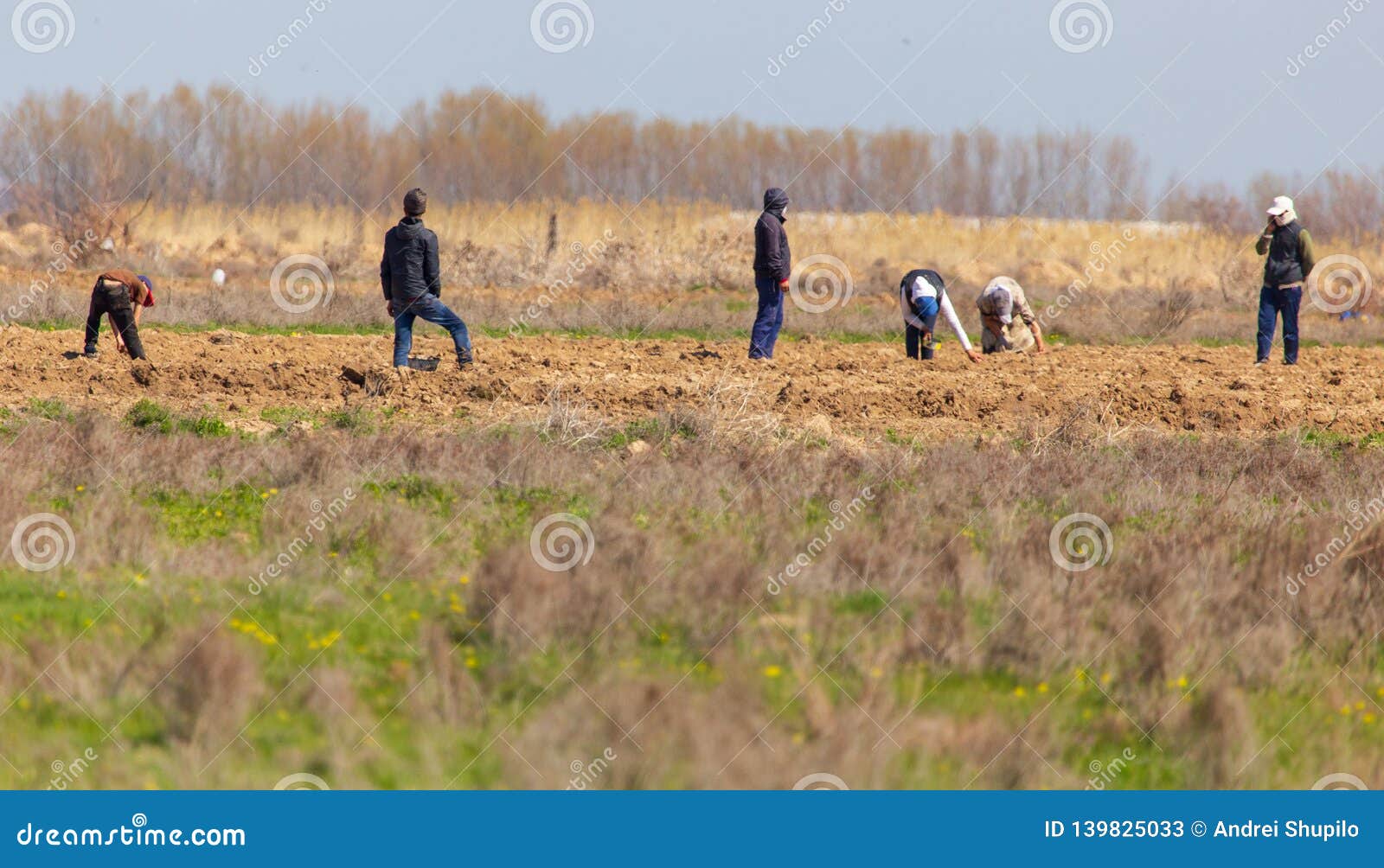 People Work in the Field in the Spring Stock Image - Image of business ...