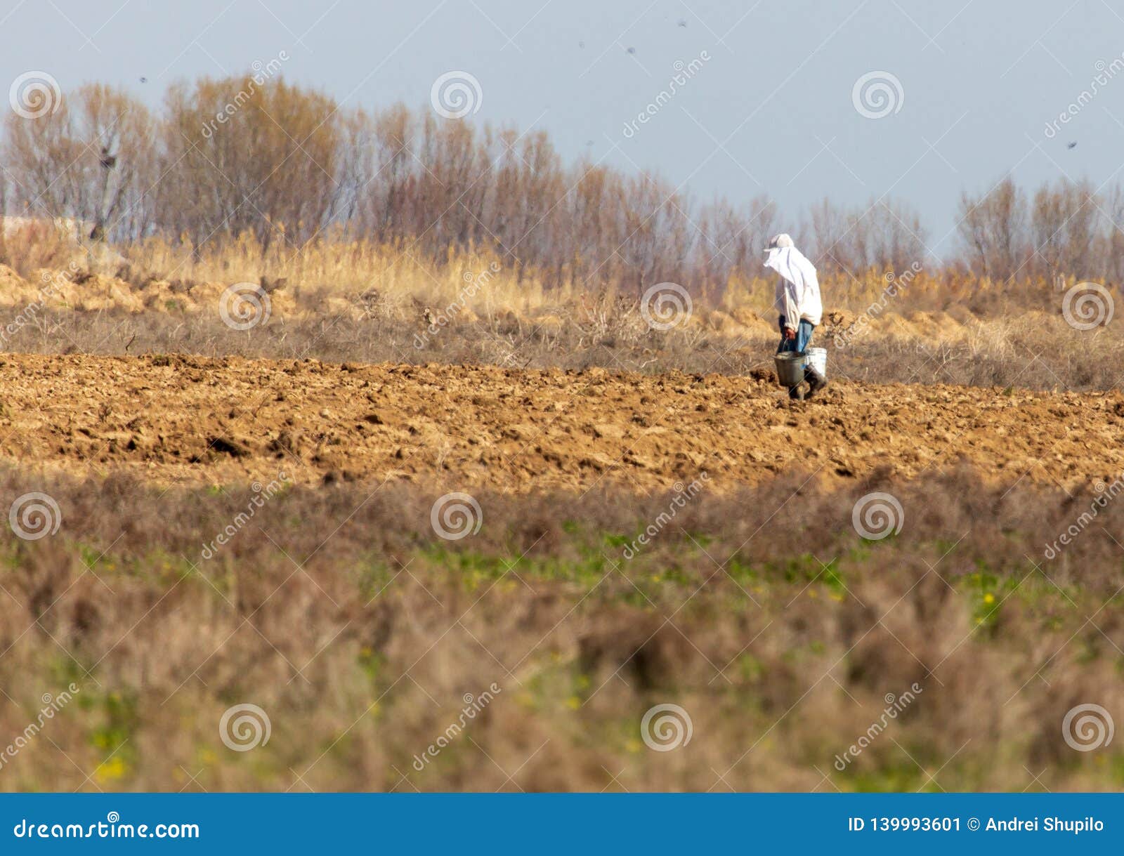 People Work in the Field in the Spring Stock Image - Image of ...