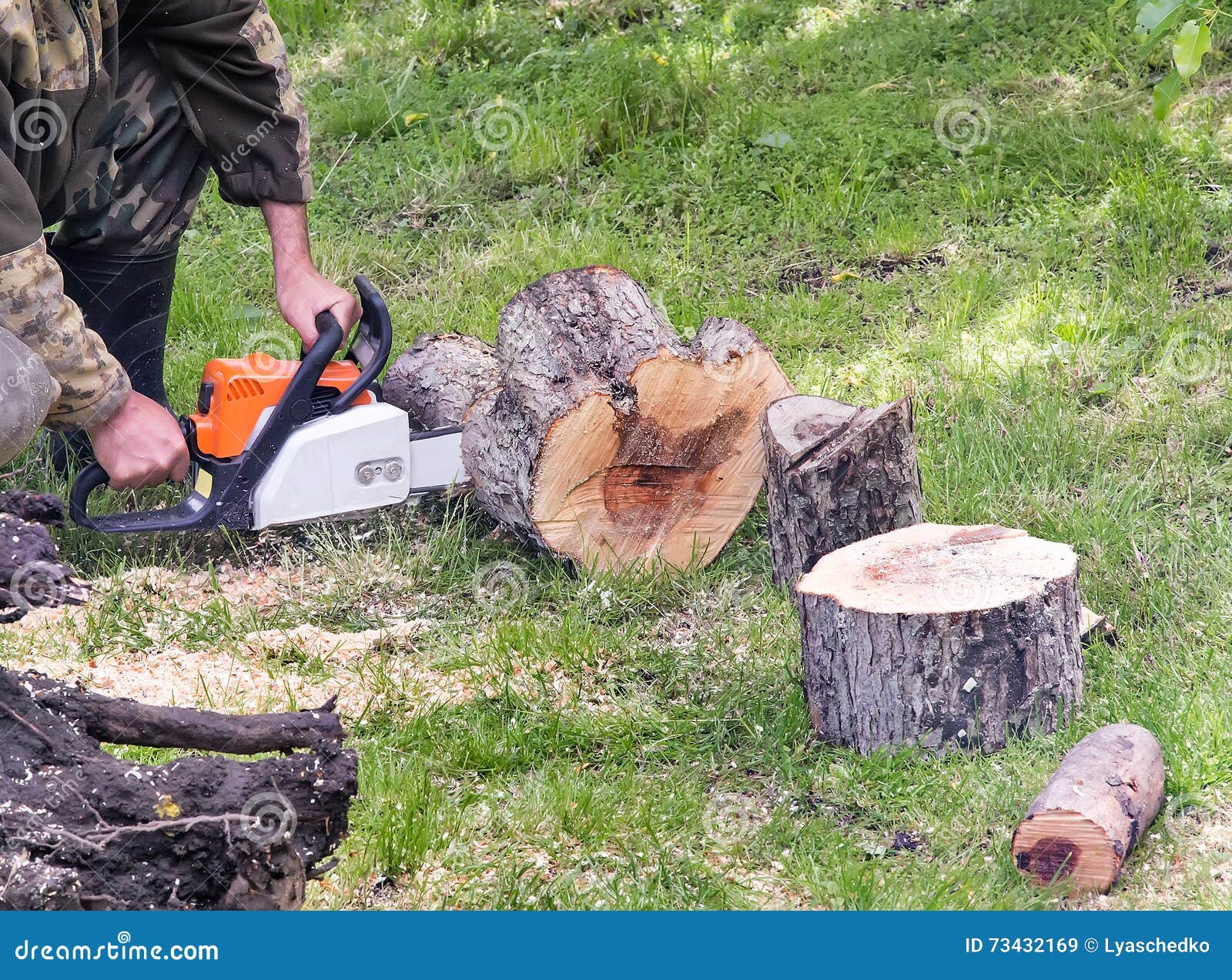 People at Work: Man Sawing Trees. Stock Image - Image of trunk ...