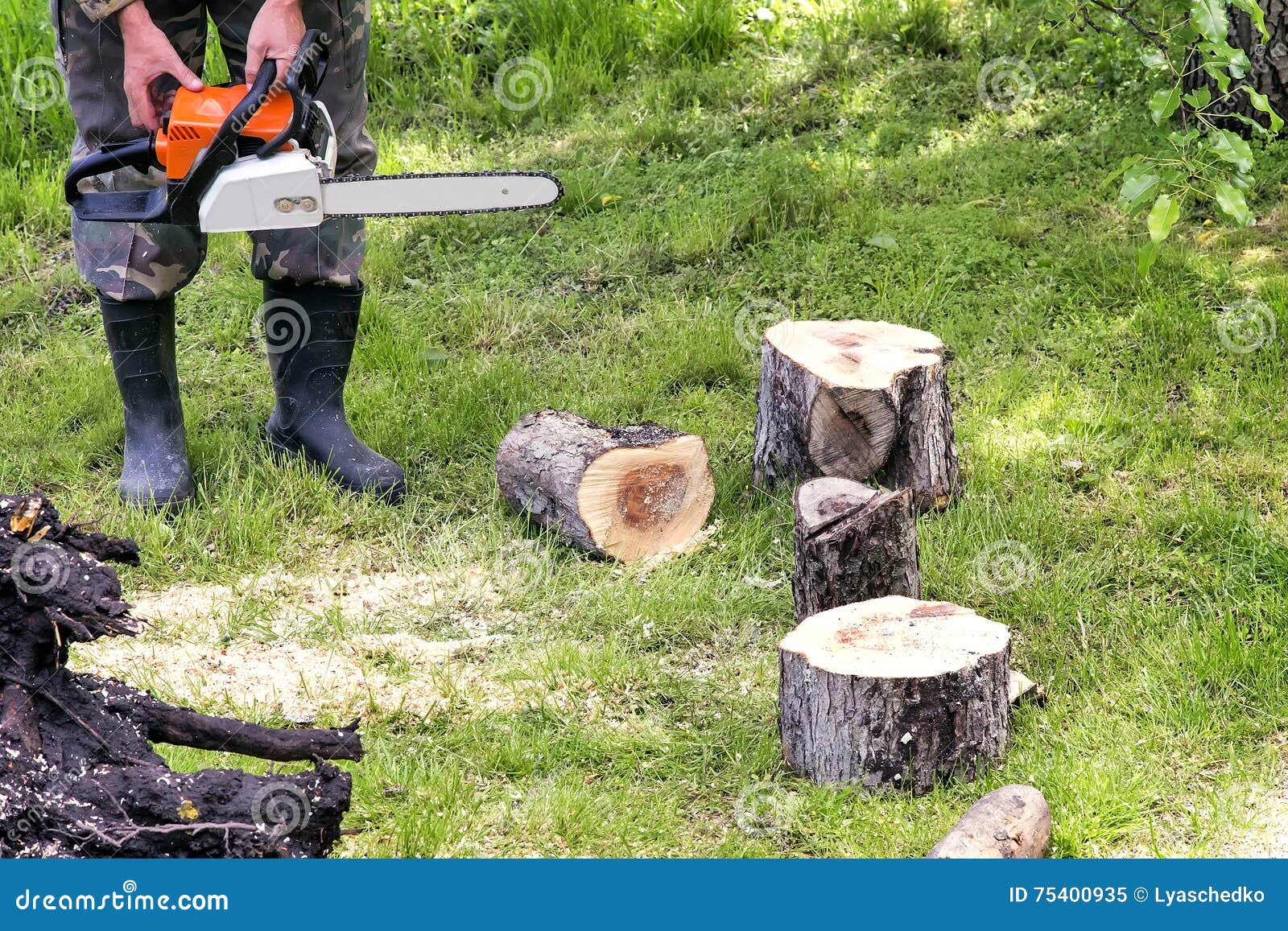 People at Work: Man Sawing Trees. Stock Image - Image of trunk ...