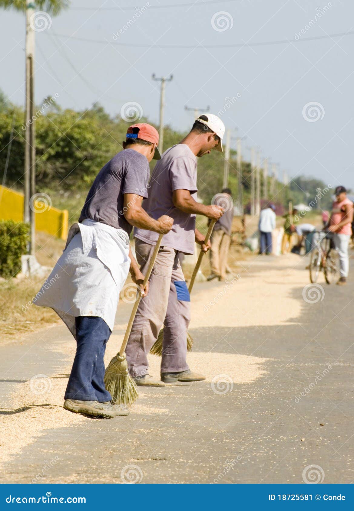 People working editorial photo. Image of working, tropic - 18725581