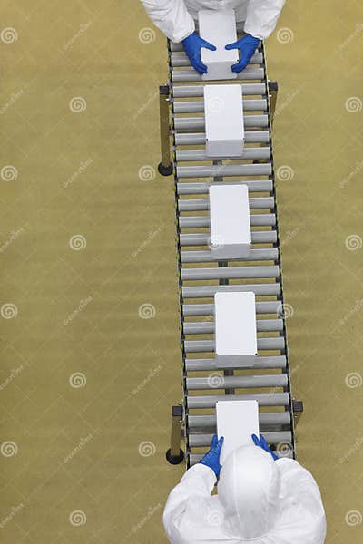 People Working with Boxes on Packing Line Stock Photo - Image of export ...