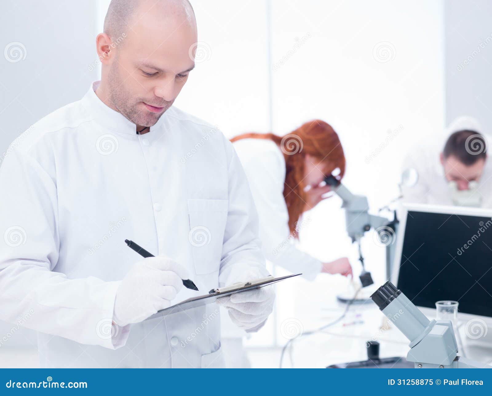 People Working in a Chemistry Lab Stock Image - Image of female ...