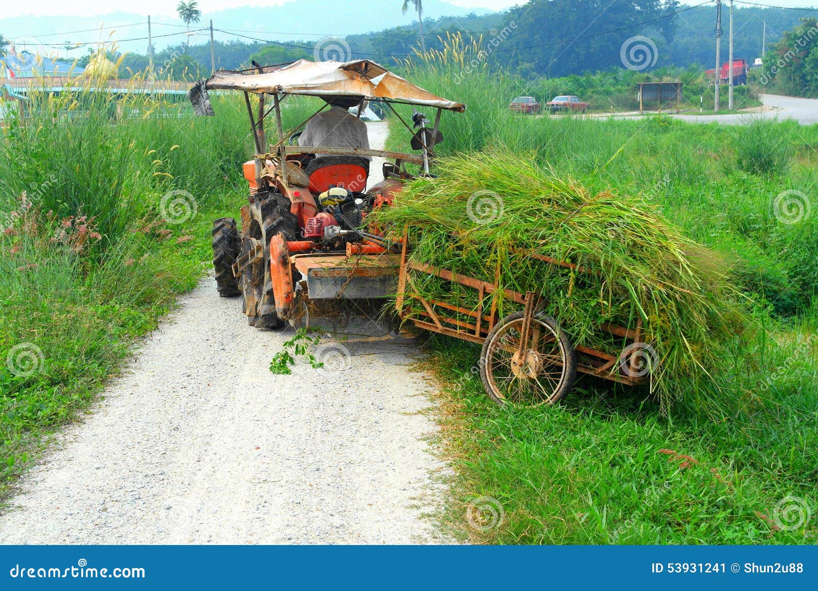 People on Work at the Farm, Country Life Stock Image - Image of nature ...