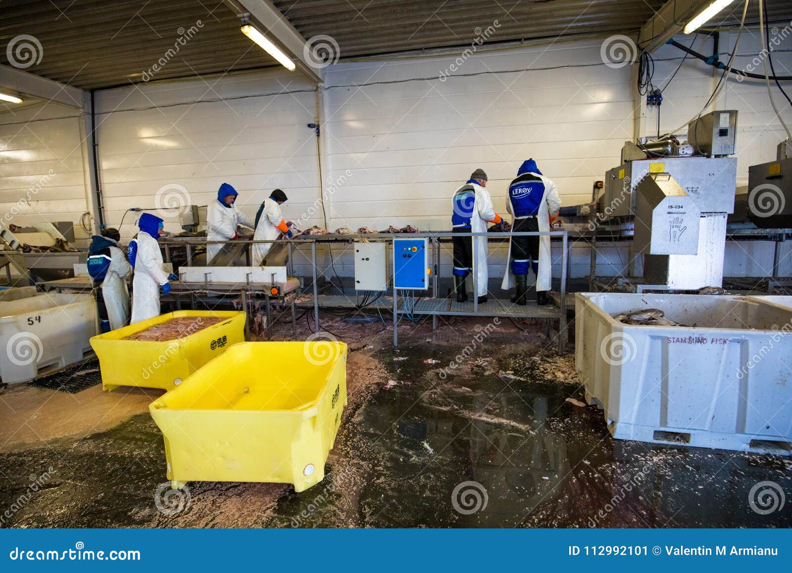 Fish processing factory editorial photo. Image of export - 112992101