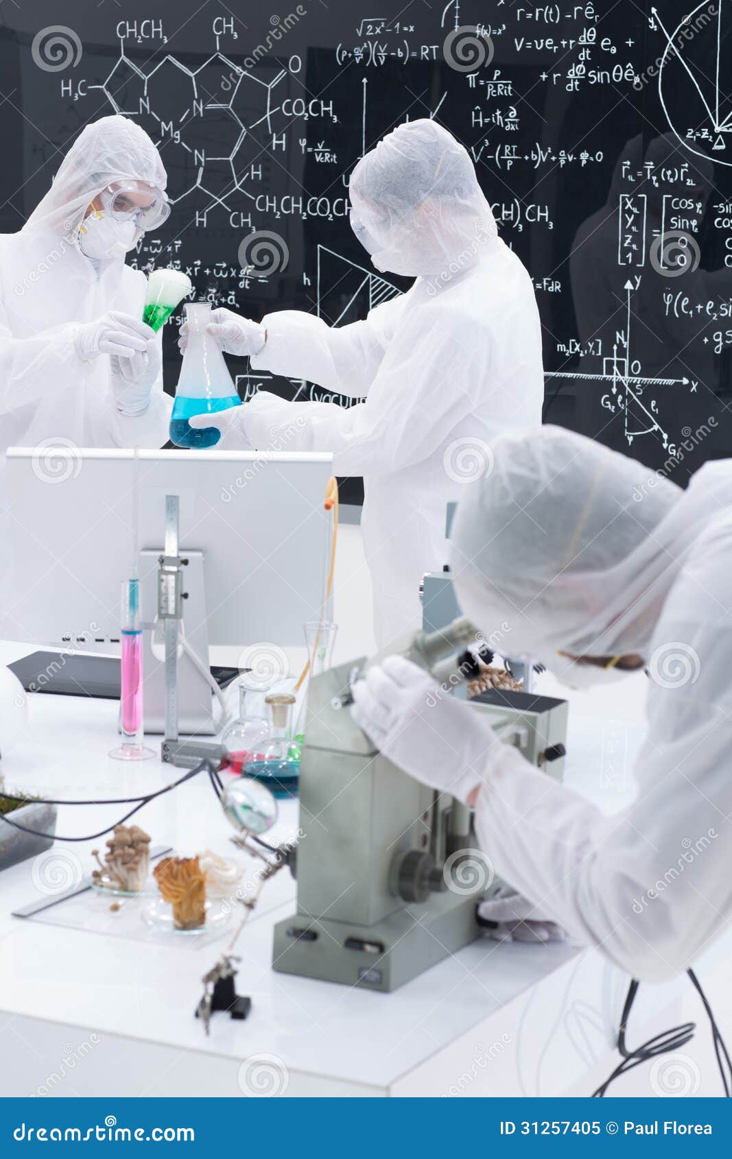 People Working in a Laboratory Stock Image - Image of element, flask ...
