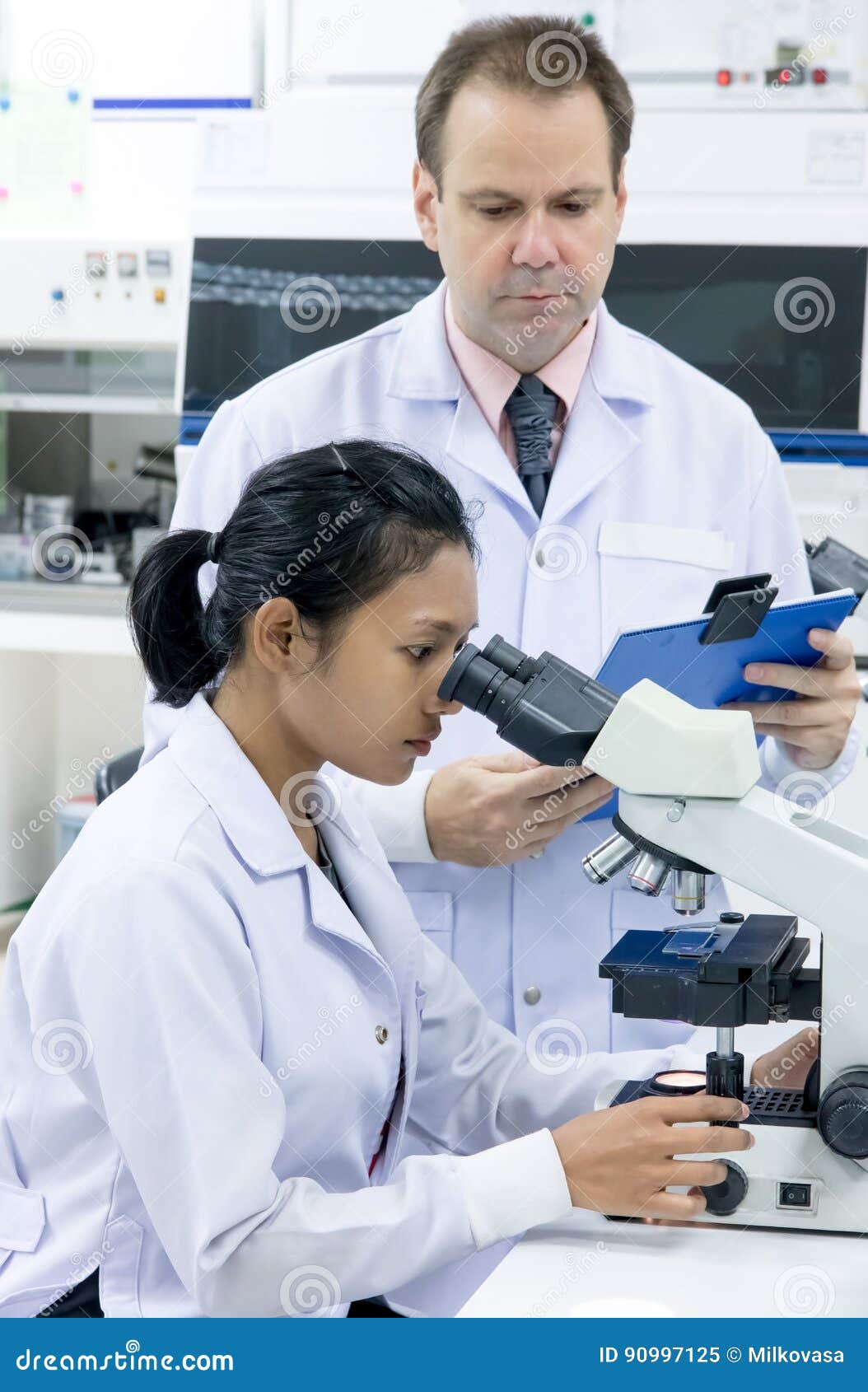 People Working in a Laboratory Stock Image - Image of concentrated ...