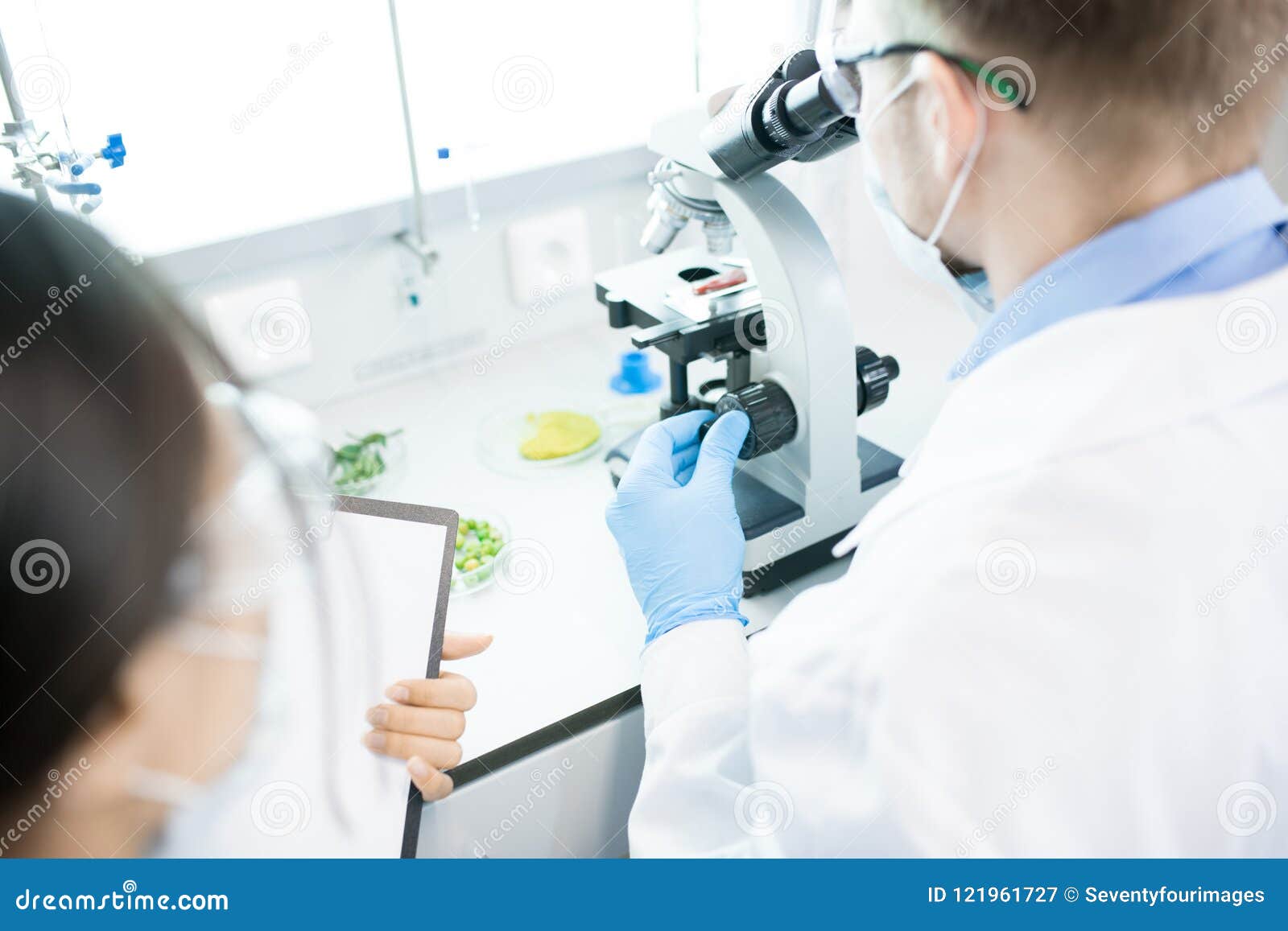 People Working on Research in Laboratory Stock Image - Image of test ...