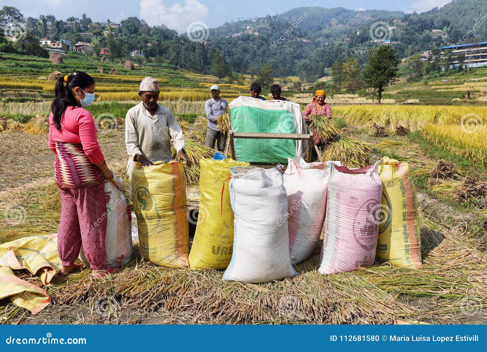 People Working with a Threshing Machine in Nepal Editorial Image ...