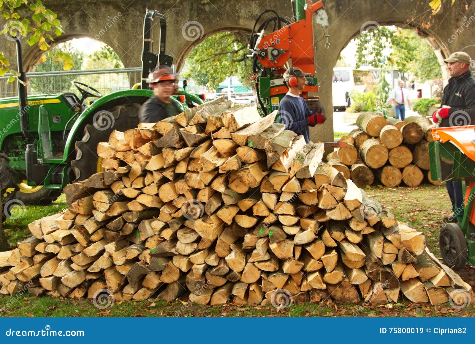 People working with timber editorial stock image. Image of hardwood ...