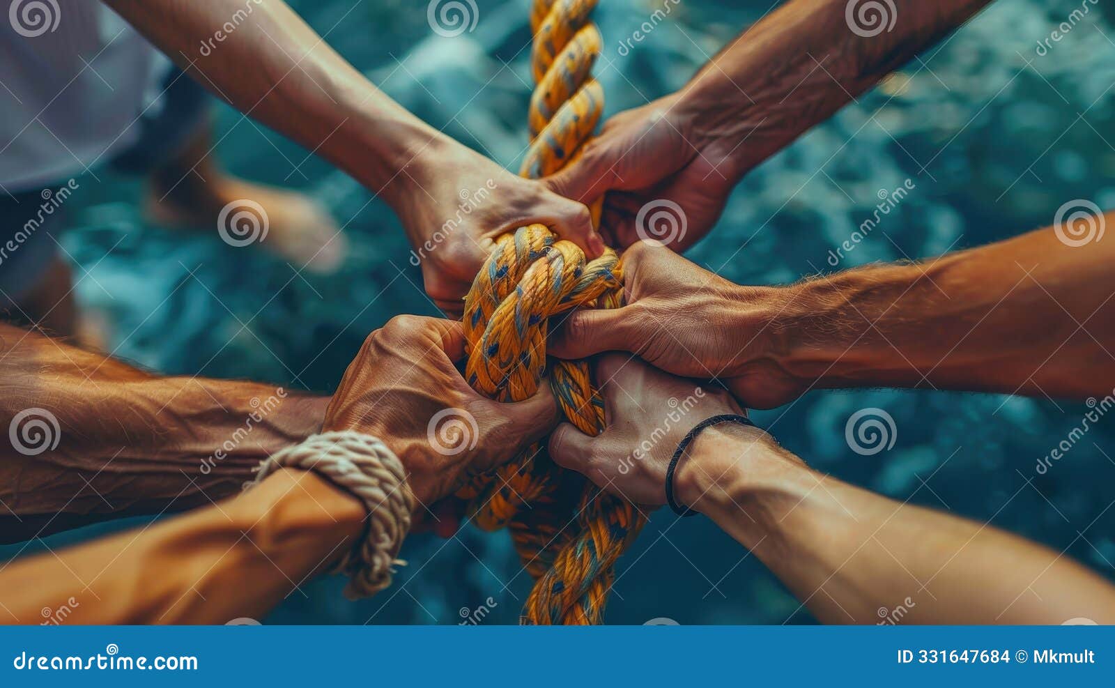 People Working Together To Pull a Rope in a Teamwork Activity by the ...
