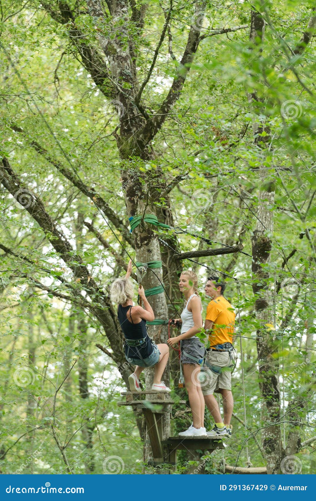 People and Zip Line Experience Stock Image - Image of rope, action ...