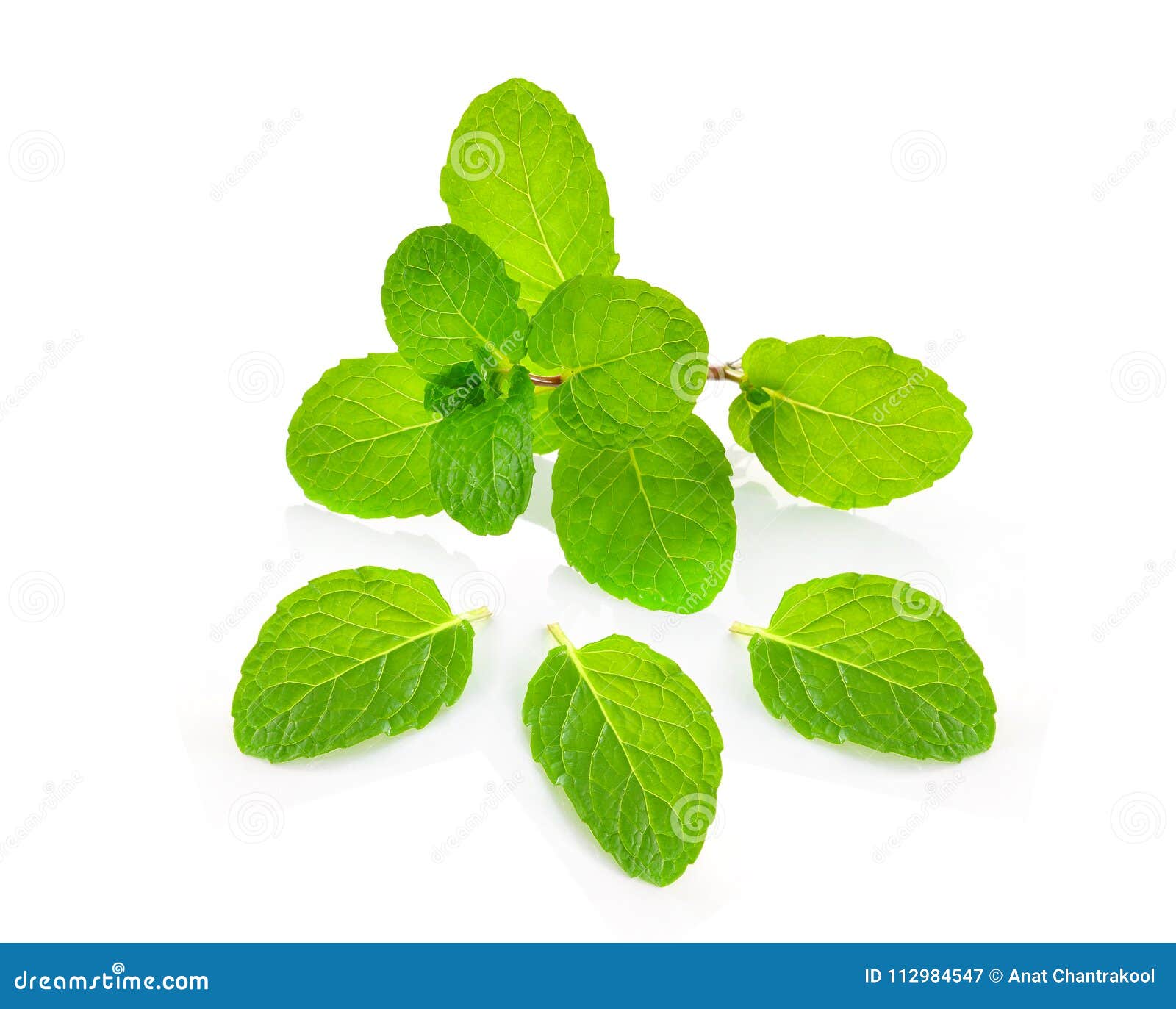 Pepermunt stock afbeelding. Image of geur, organisch - 112984547