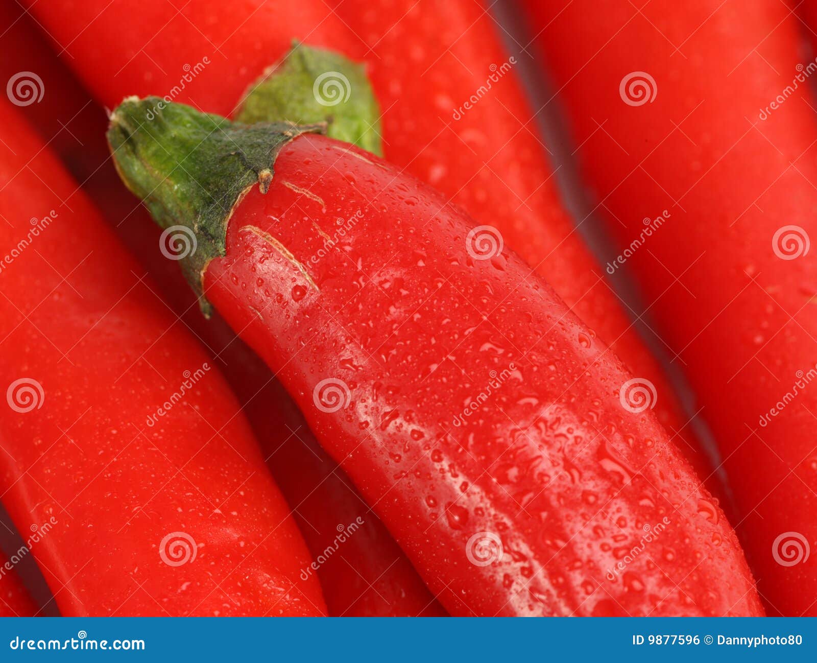 Peperoncini rossi rossi fotografia stock. Immagine di isolato - 9877596
