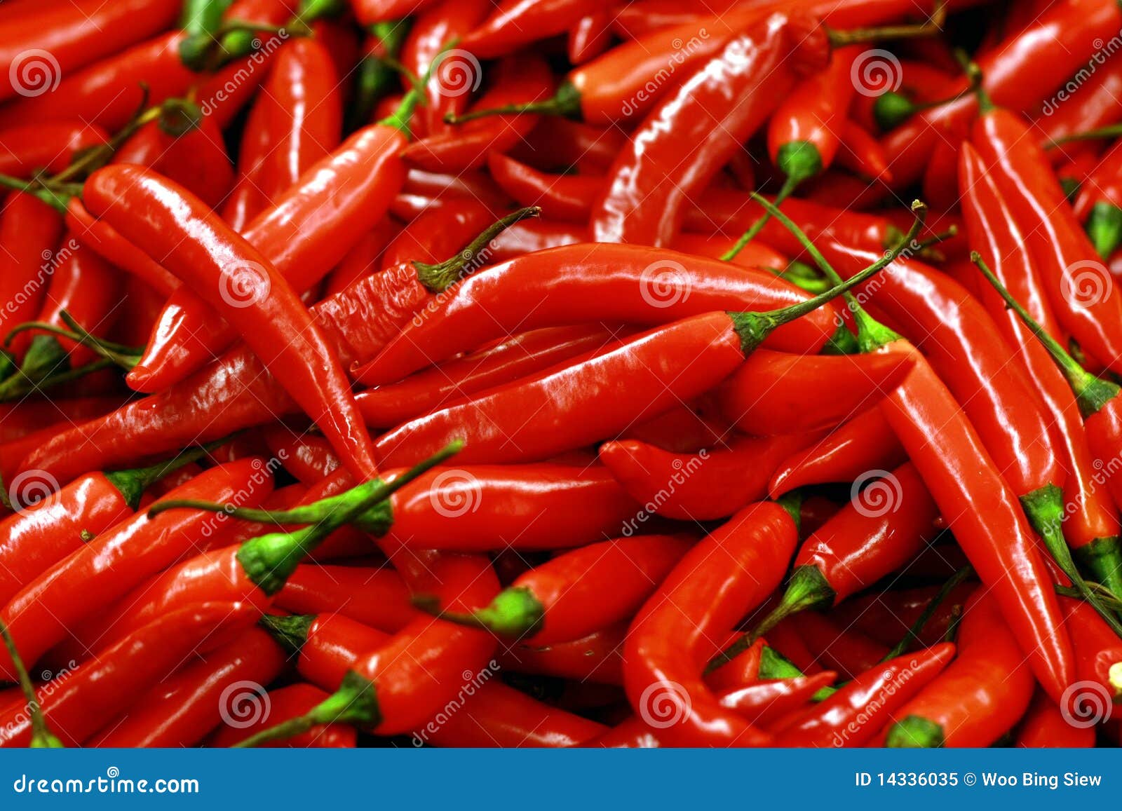 Peperoncino rosso rosso immagine stock. Immagine di verdura - 14336035