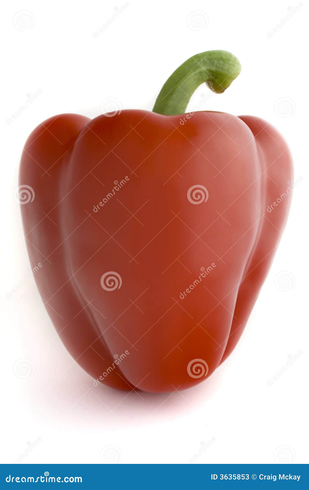 Peperone Dolce Rosso Isolato Immagine Stock - Immagine di insalata ...