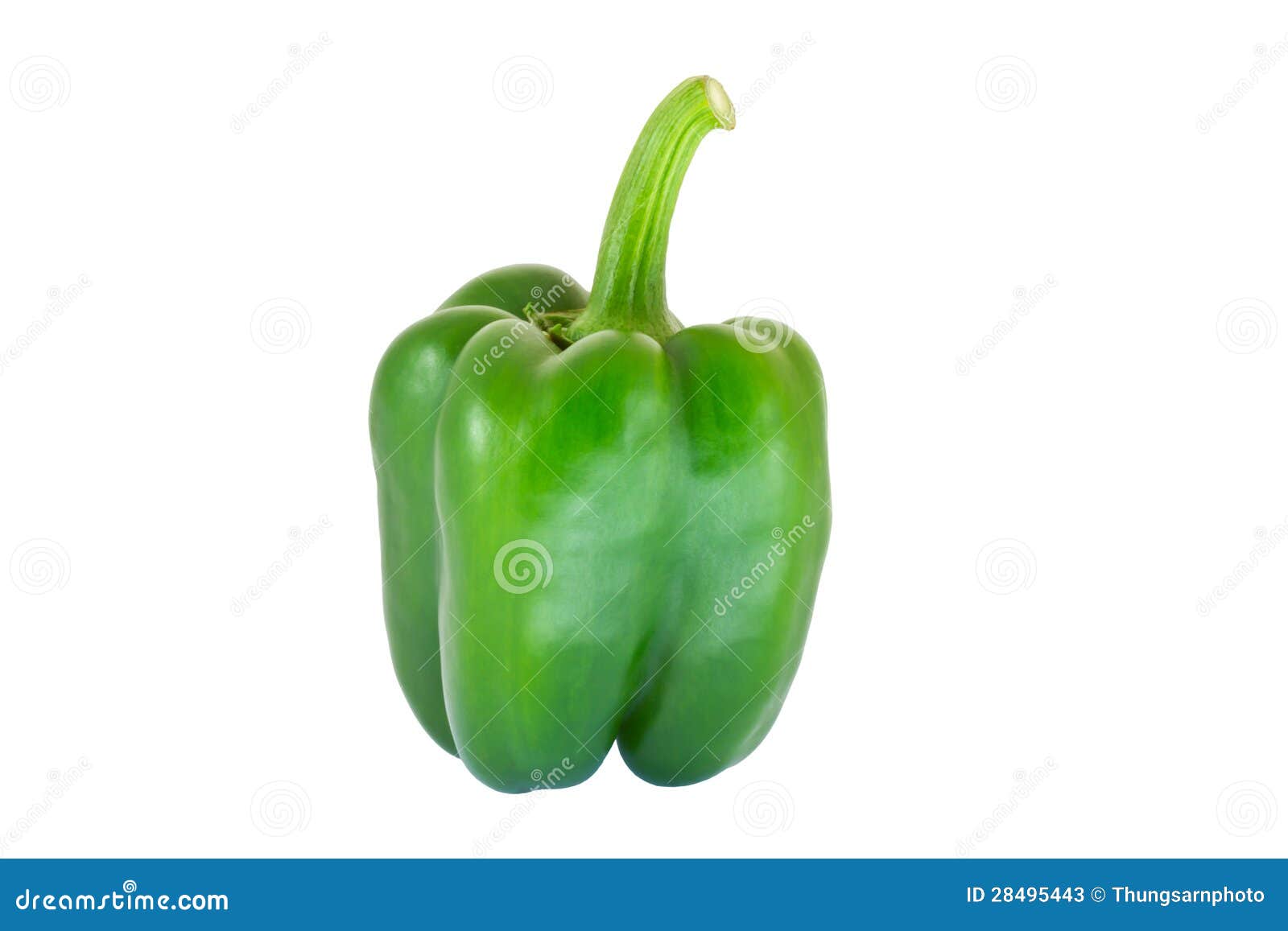 Peperone dolce verde immagine stock. Immagine di cottura - 28495443