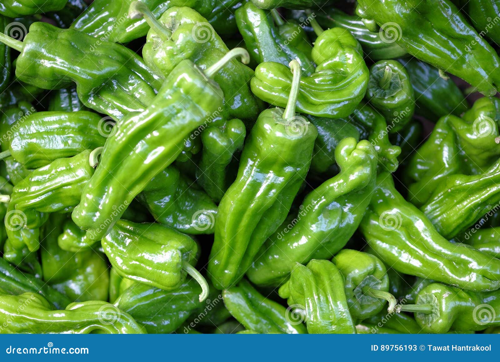 Peperone dolce verde immagine stock. Immagine di flangia - 89756193