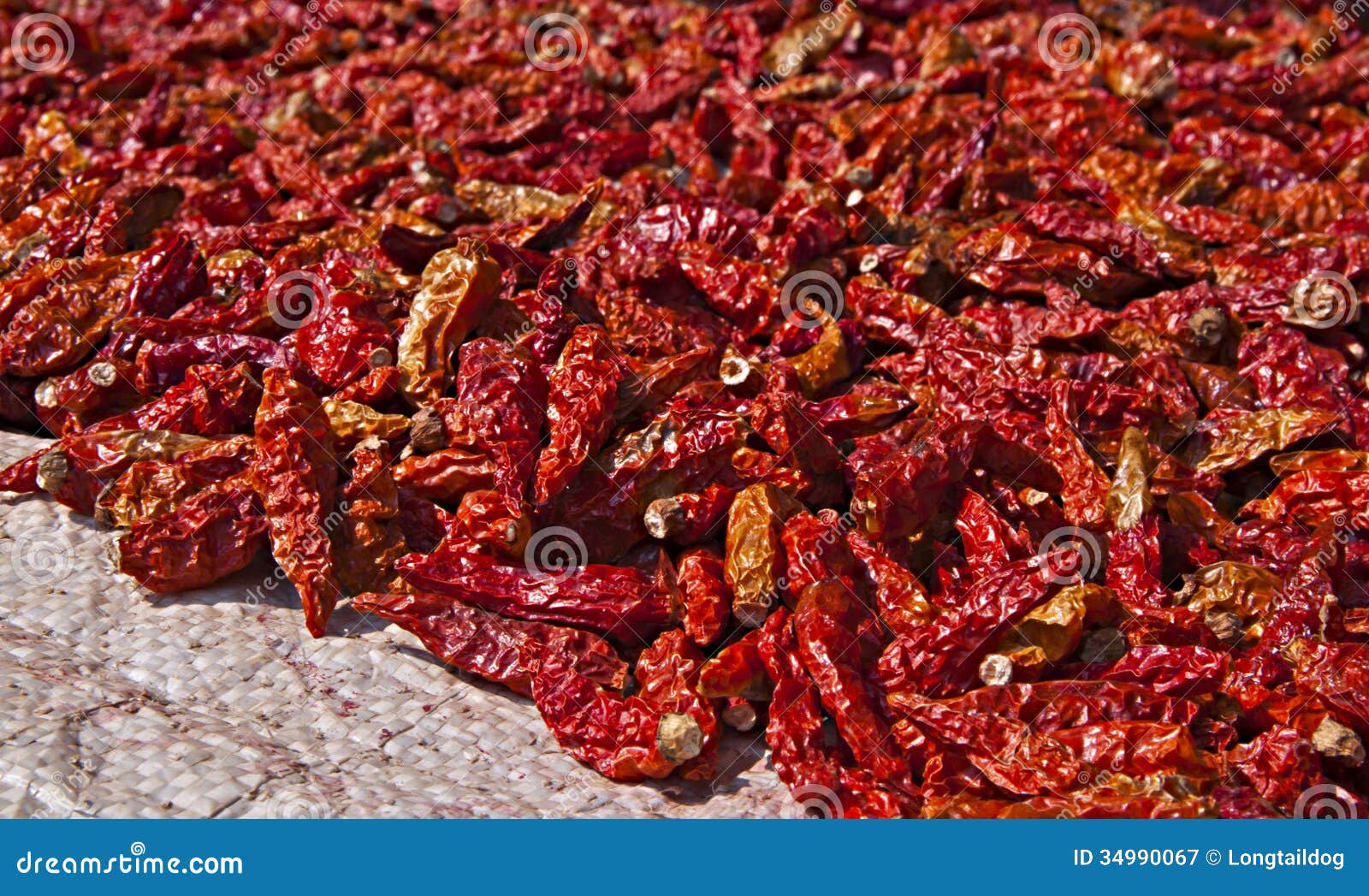 Peperone Secco Del Peperoncino Rosso. Immagine Stock - Immagine di pepe ...