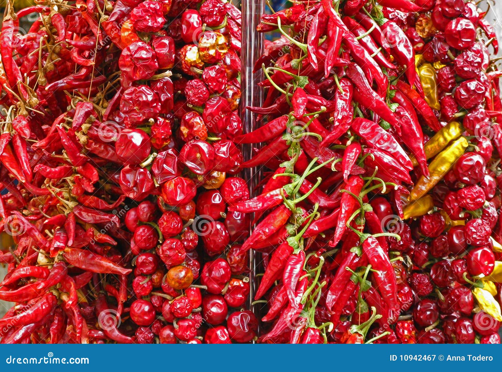Peperoni Caldi Dei Peperoncini Rossi Immagine Stock - Immagine di pepe ...