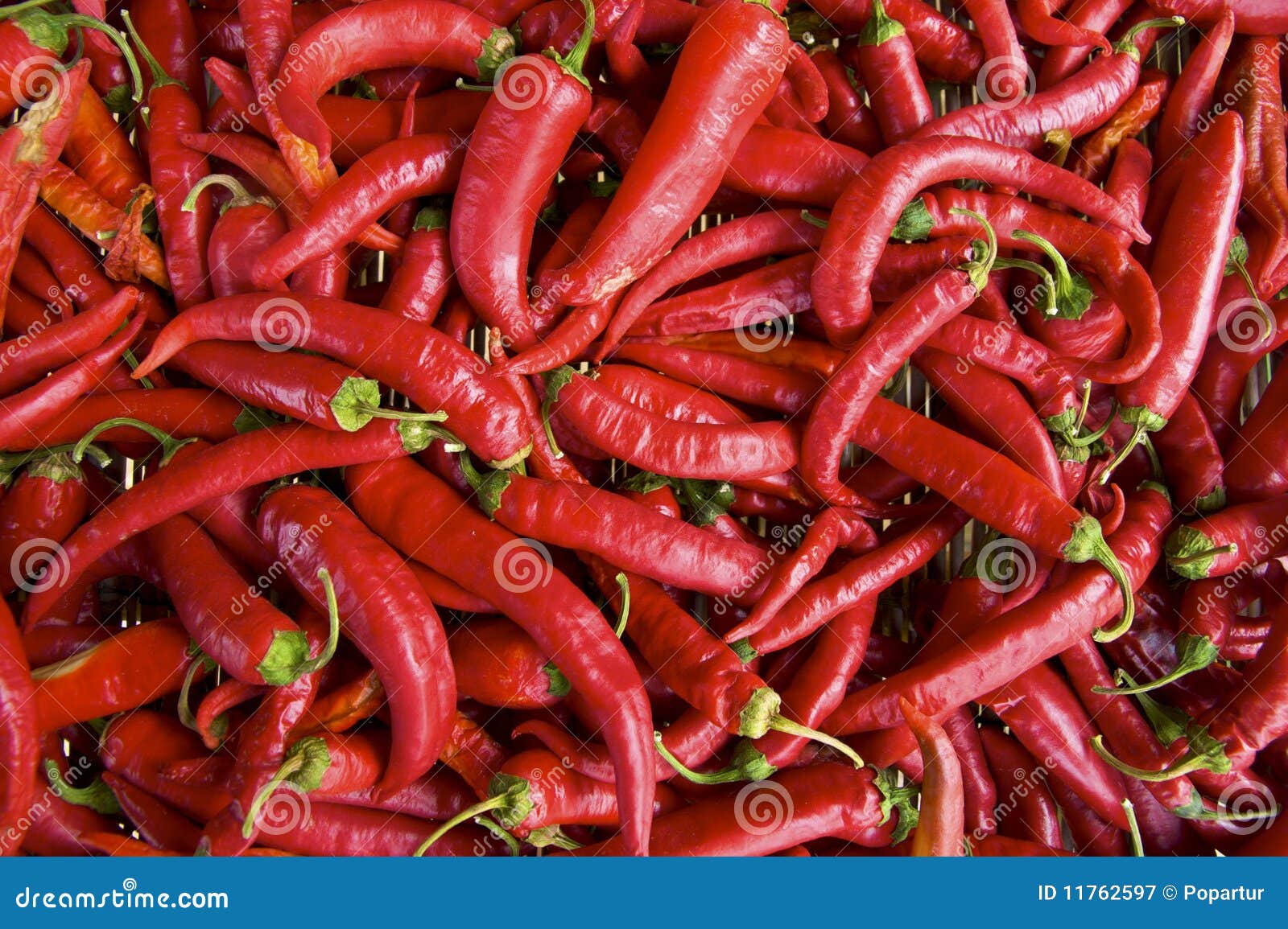 Peperoni Di Peperoncini Rossi Immagine Stock - Immagine di pepe, rosso ...