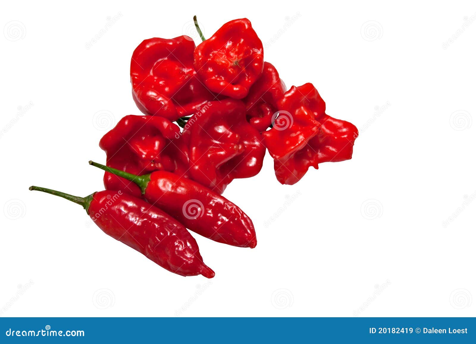 Peperoni Di Peperoncino Rosso Rosso Immagine Stock - Immagine di pepe ...