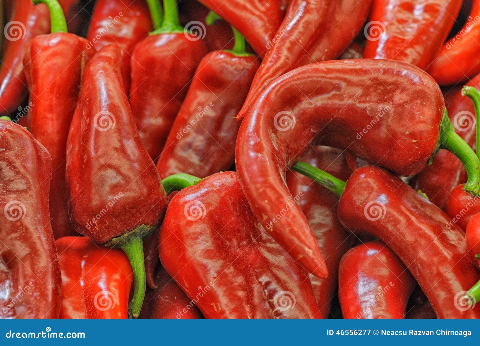 Peperoni Di Peperoncino Rosso Rosso Immagine Stock - Immagine di colore ...