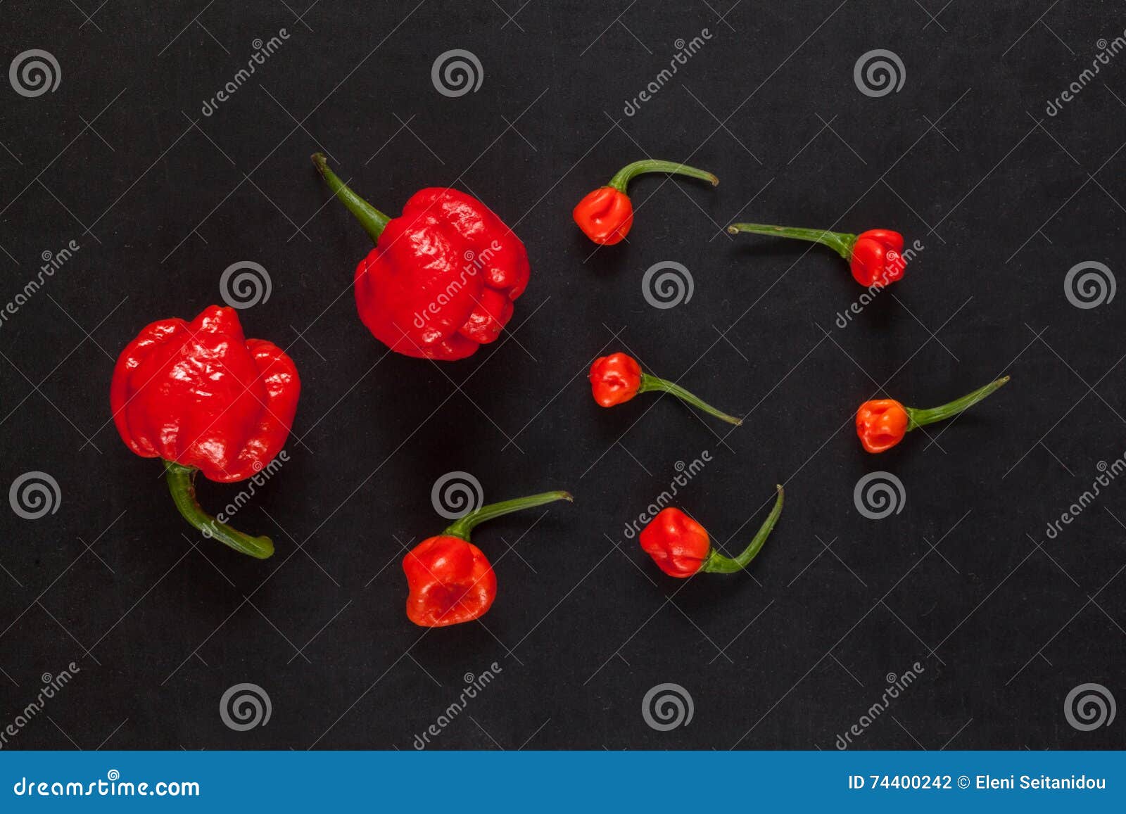 Peperoni Di Peperoncino Rosso Rosso Fotografia Stock - Immagine di ...