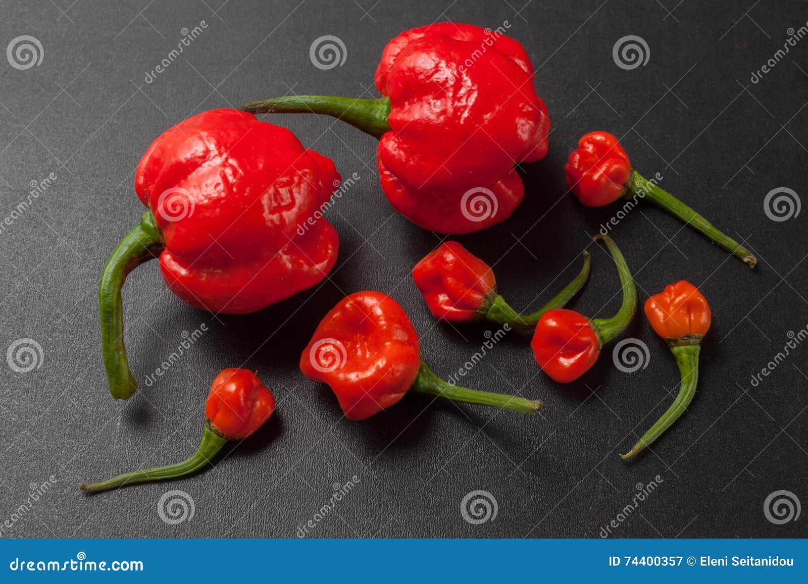 Peperoni Di Peperoncino Rosso Rosso Immagine Stock - Immagine di frutta ...