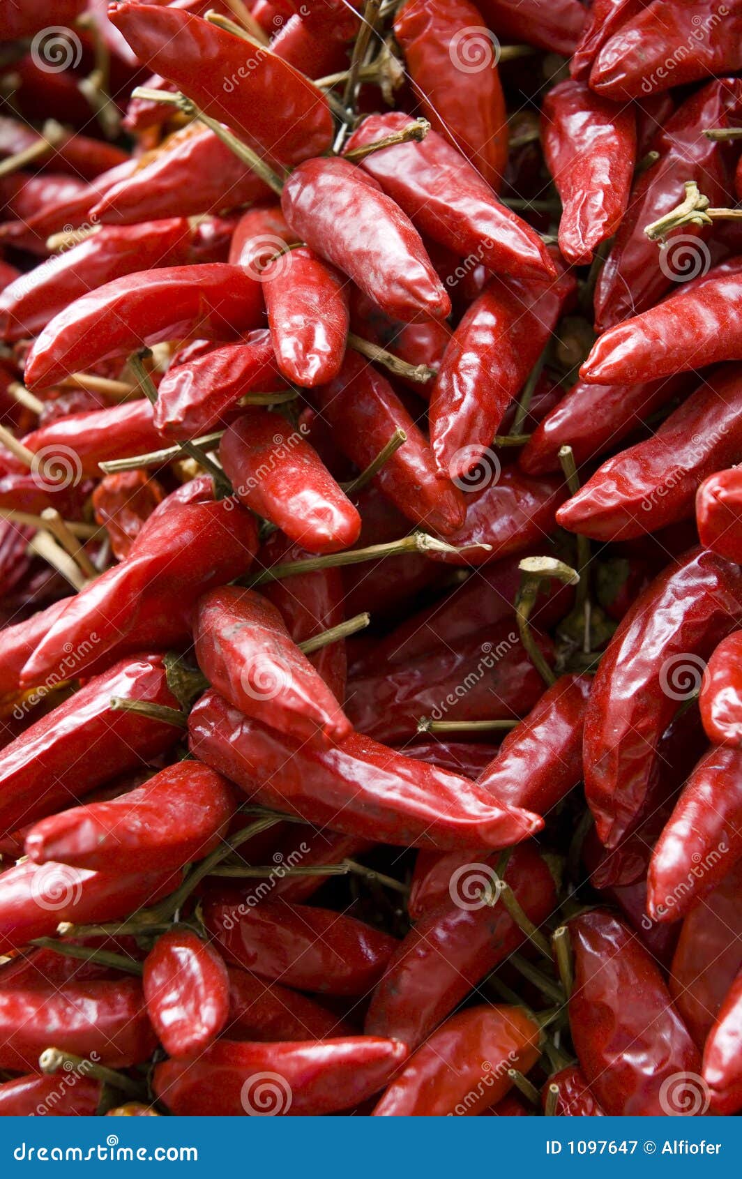 Peperoni Di Peperoncino Rosso Roventi Immagine Stock - Immagine di ...
