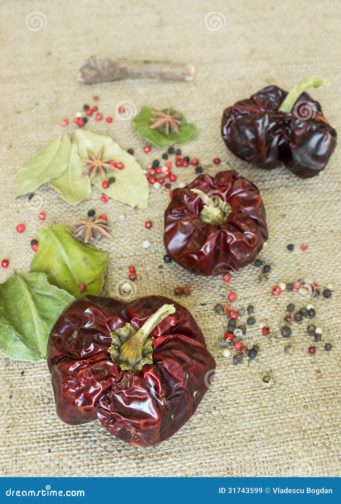 Peperoni Secchi Spagnolo Di Nora Immagine Stock - Immagine di spezia ...